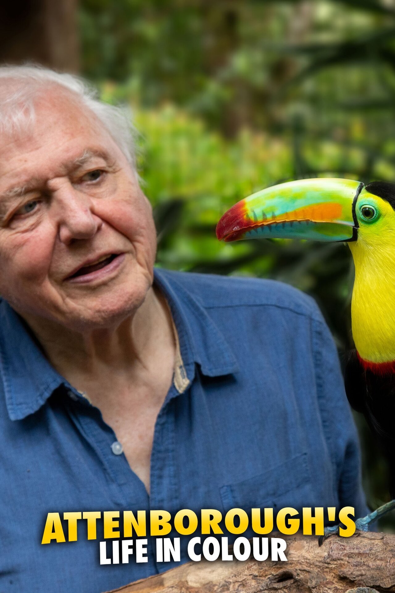 Attenborough's Life in Colour